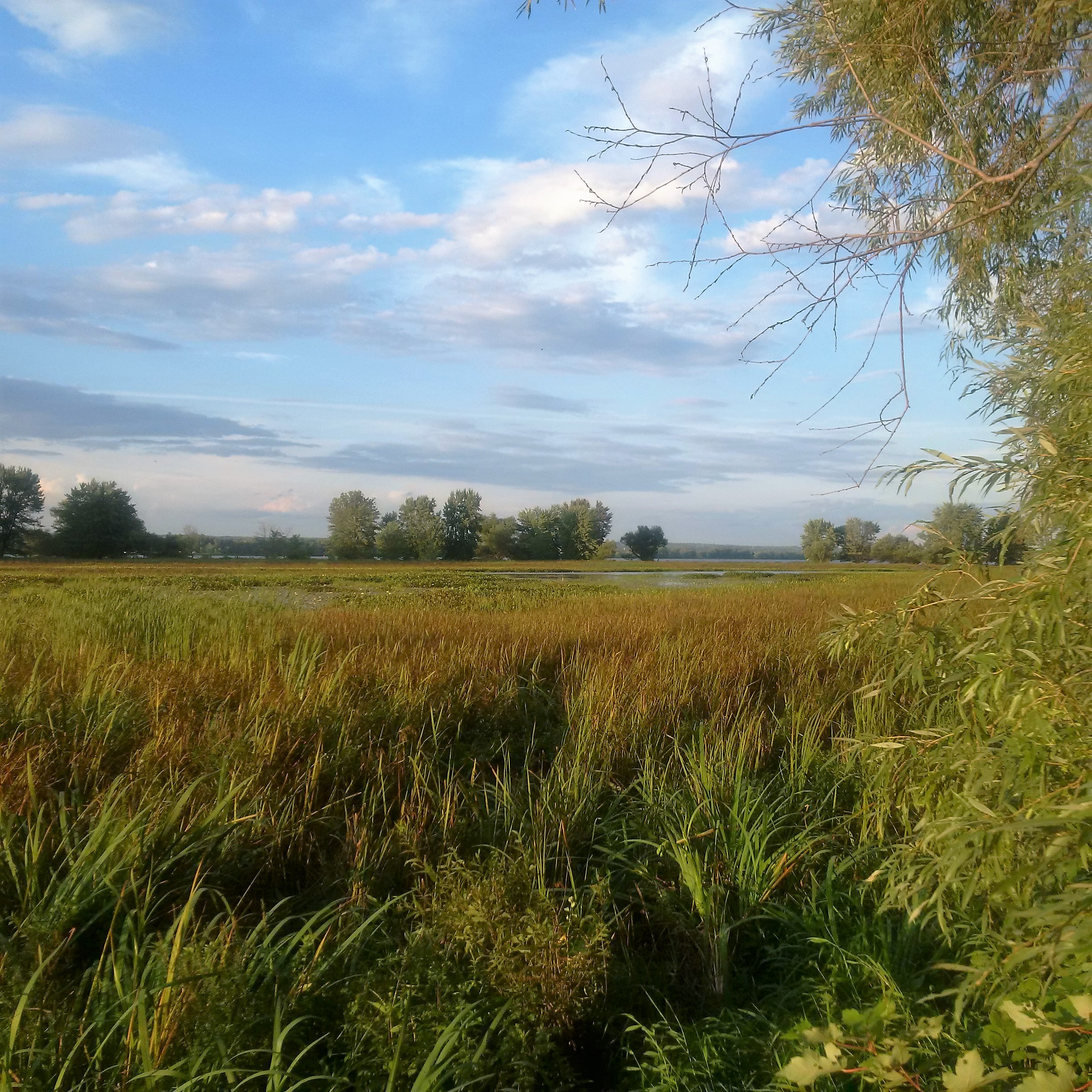 How Long, LORD? | I love the Psalms