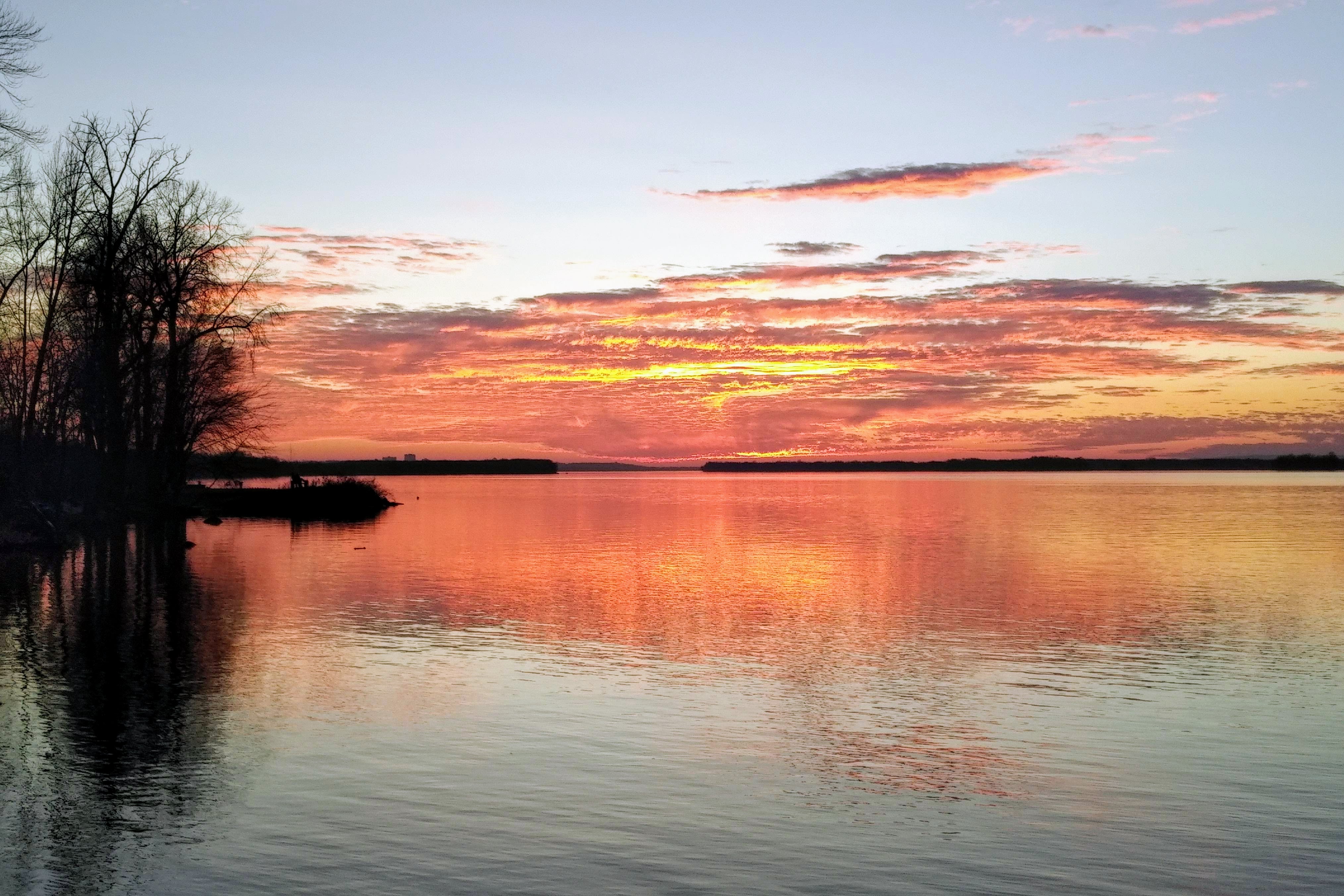 Clothed with Splendor and Majesty | I love the Psalms