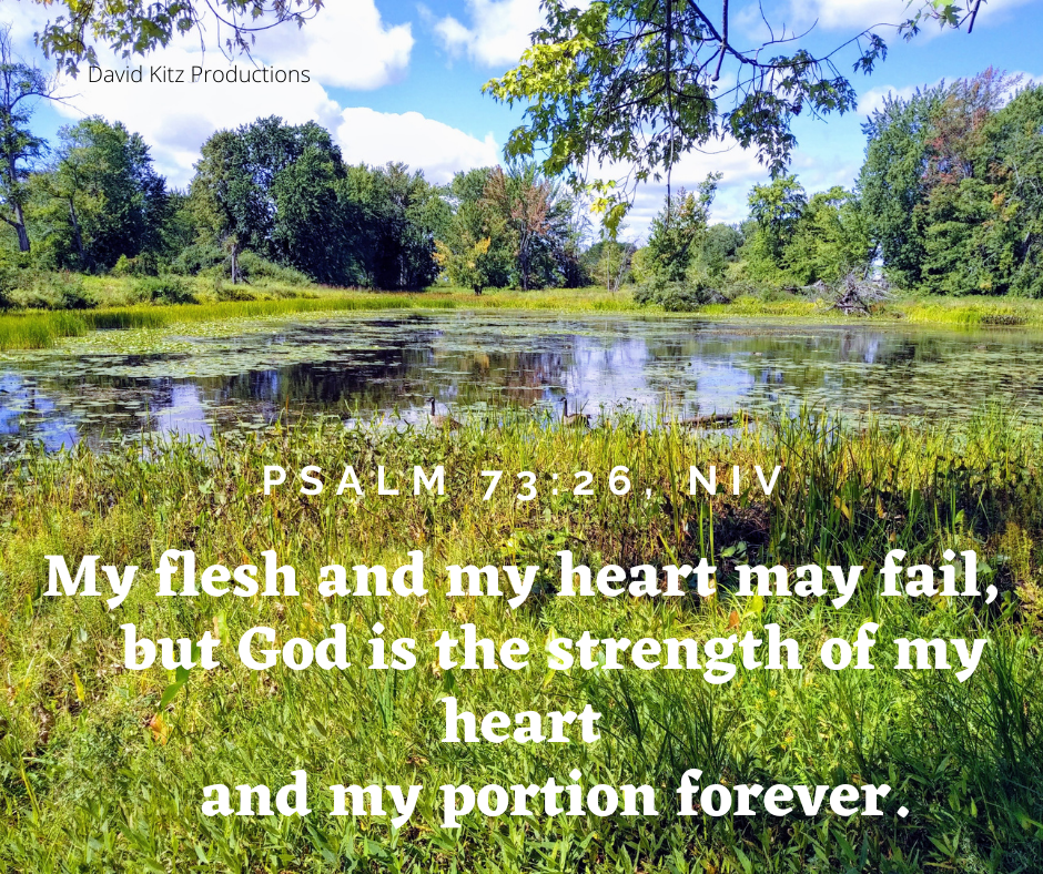 Psalm 73 | I love the Psalms