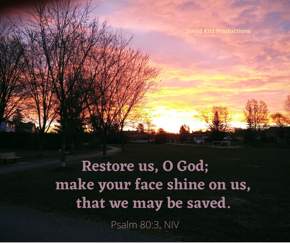 Face Time with God | I love the Psalms
