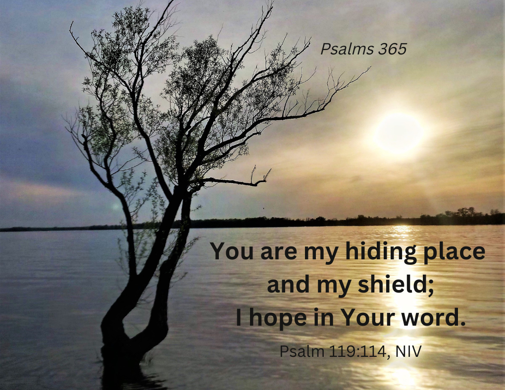 A Hiding Place and Sheild | I love the Psalms
