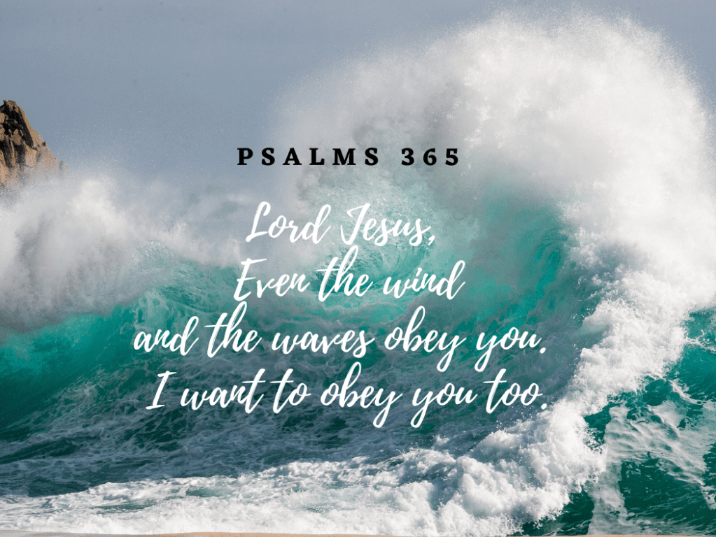 In the Back of the Boat | I love the Psalms