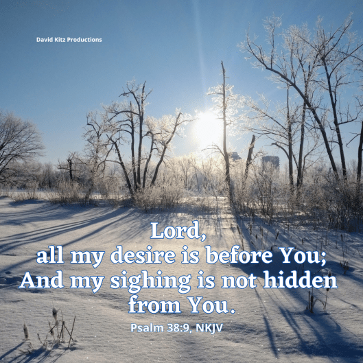 Psalm 38 | I love the Psalms